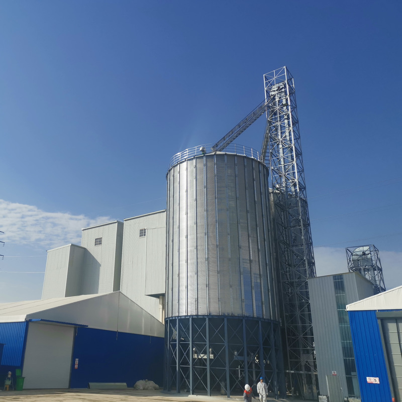 Factory grain silo to storage raw material silo for feed production ...